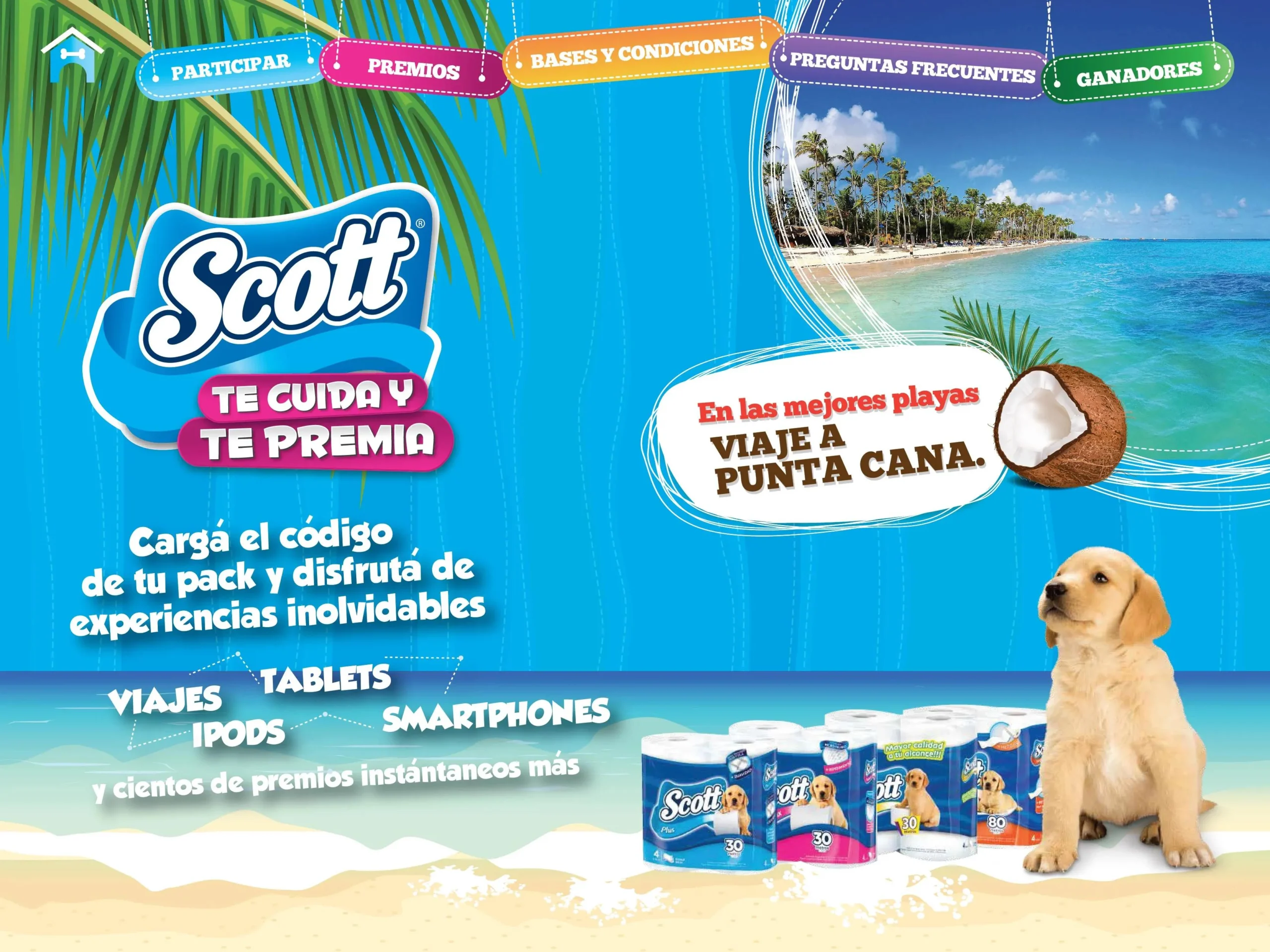 Publicidad scott: el éxito de una campaña icónica | VirtualMailer